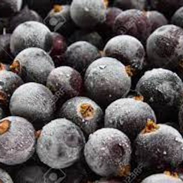 IQF Frozen Fruits and Vegetables Supplier | GREEN LINE
